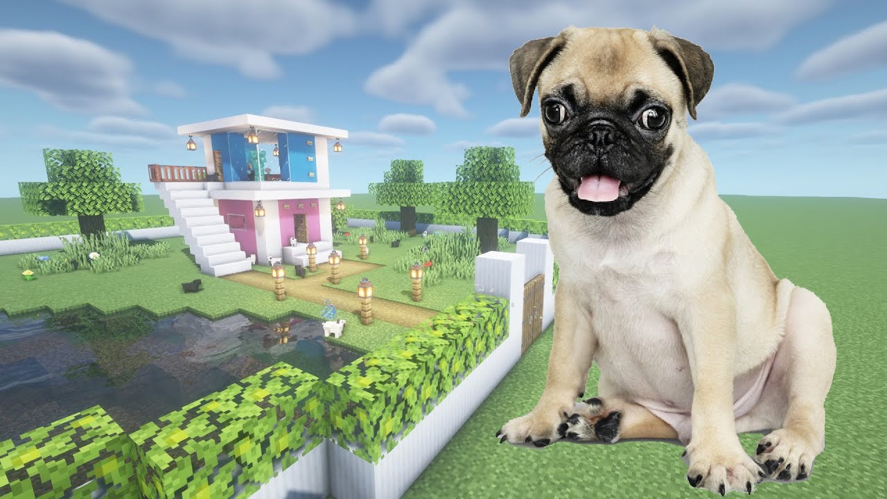 How To Make a Pug Farm in Minecraft PE - YouTube