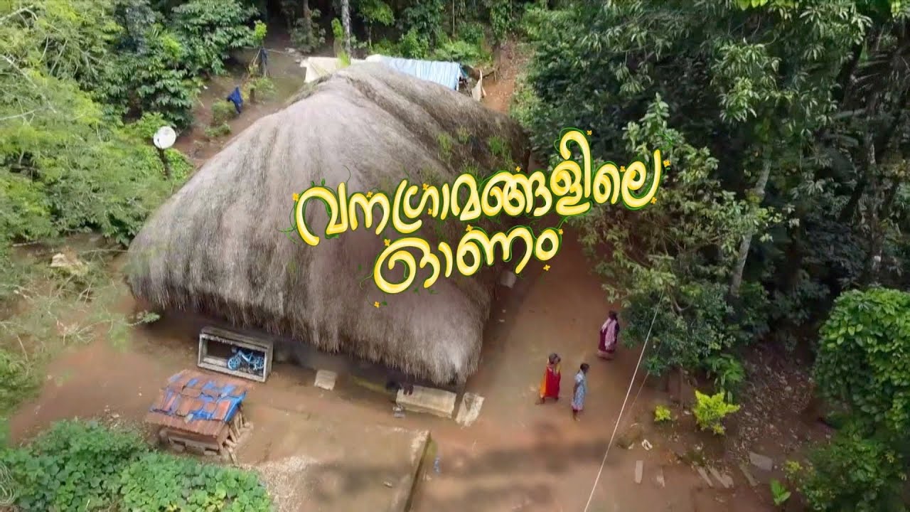 വയനാട്ടിലെ വന ഗ്രാമങ്ങളിൽ ഓണാഘോഷം ഇങ്ങനെയാണ്! | Wayanad | Onam 2022 ...