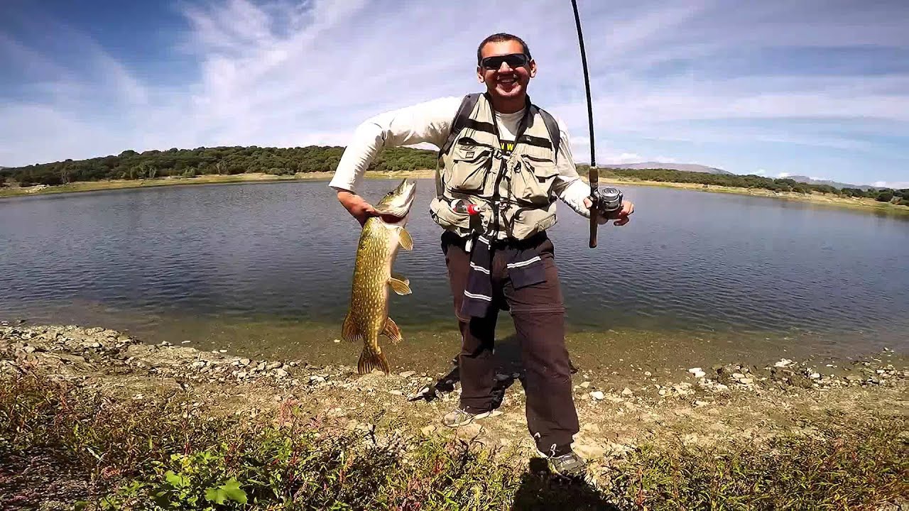 Lucio de 5KG con señuelo Arja Spinning "Imitación Percasol" - YouTube