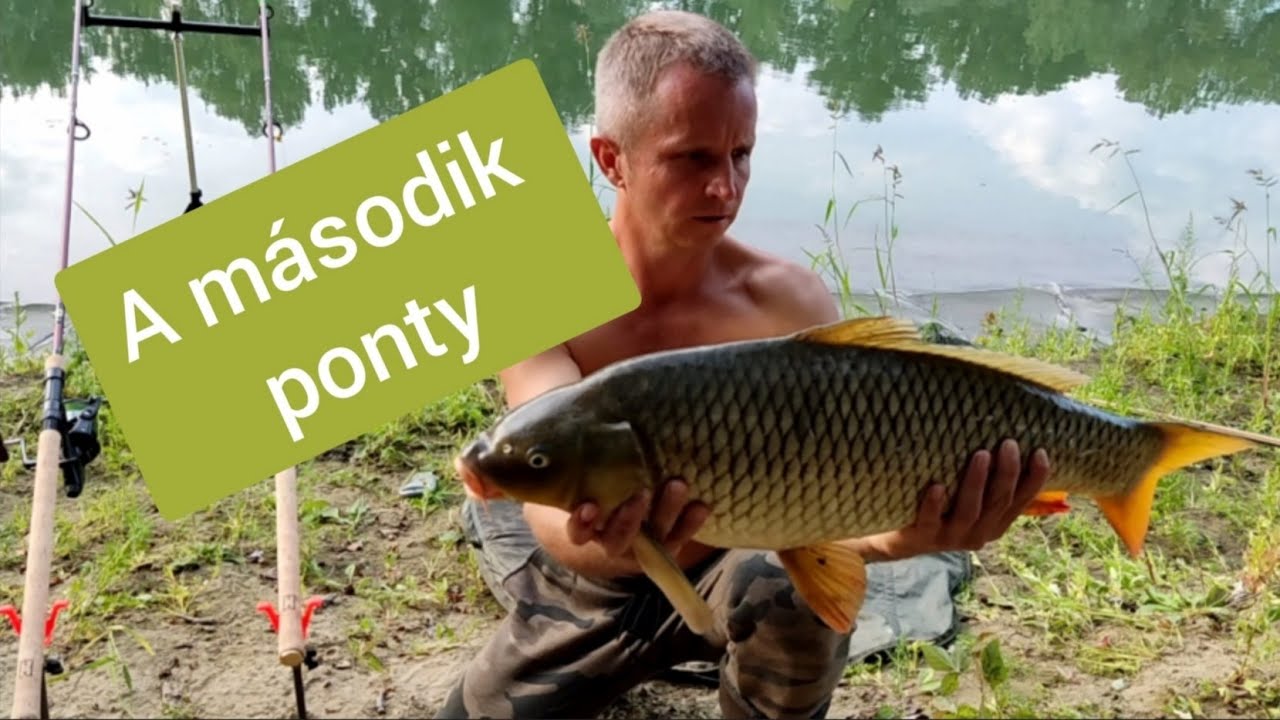 53. rész - A második ponty - Élő Tiszai Horgászat - YouTube
