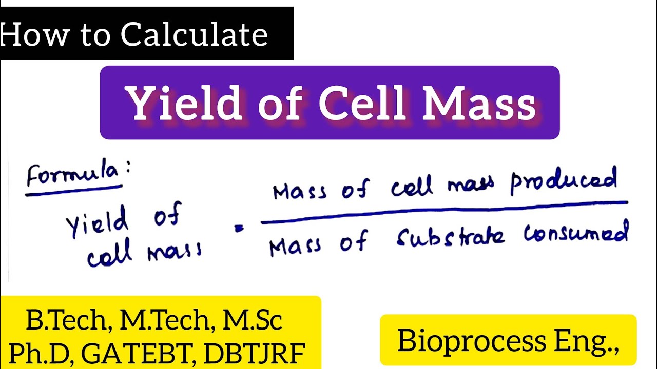 How to Calculate a Yield of Cell Mass | Numerical in Bioprocess ...