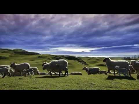 Pfizer Startect Prelaunch TVC - YouTube