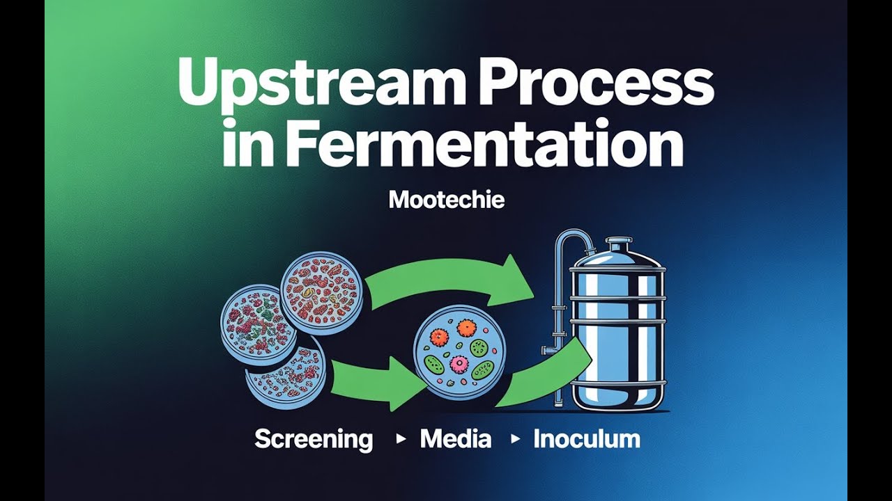 Fermentation: Upstream Processes | Screening, Media & Inoculum ...