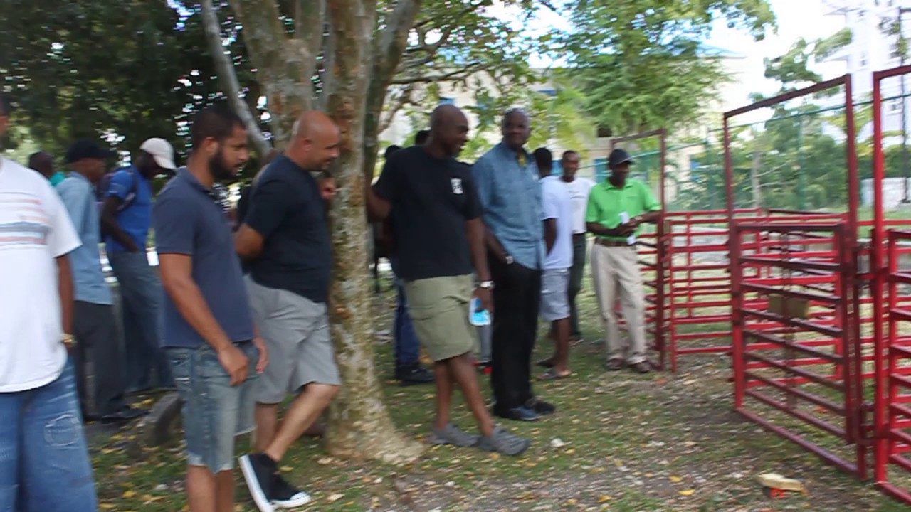 Agrofest 2017 Livestock Workshop - YouTube