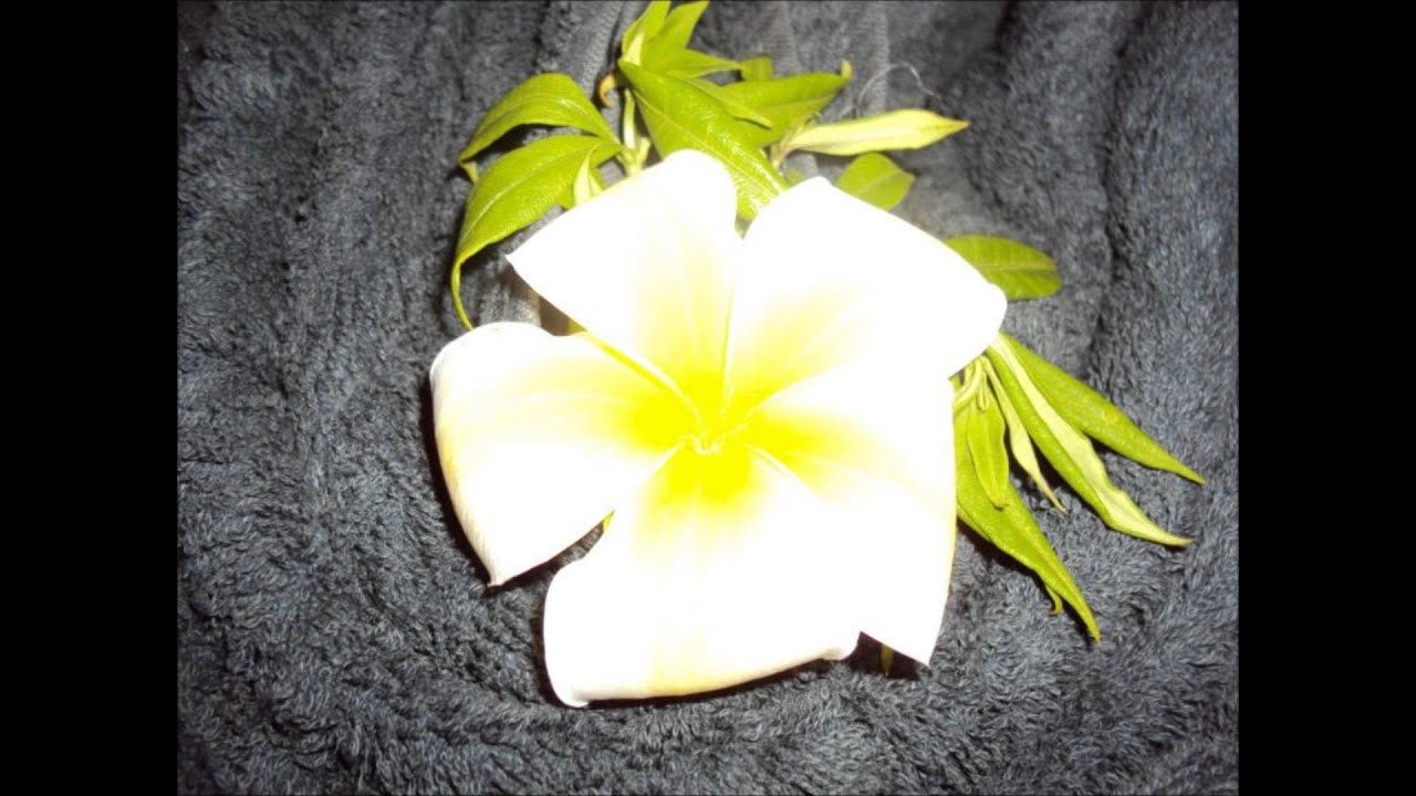 03 Sau Ia Lau Pele - YouTube