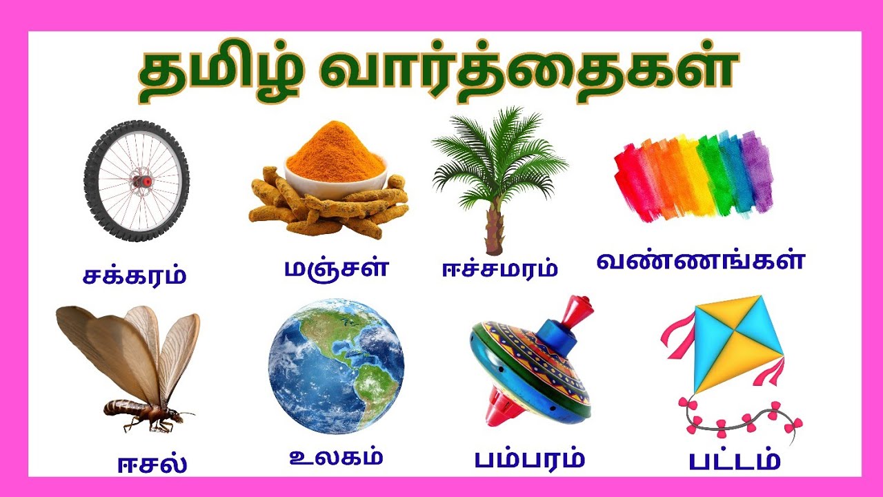 தமிழ் வார்த்தைகள்/Basic Tamil words/Tamil words learning/Tamil reading ...