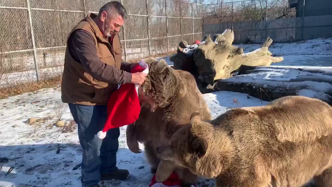 OK, I now believe AMY is the biggest ham of the bunch. :) - YouTube