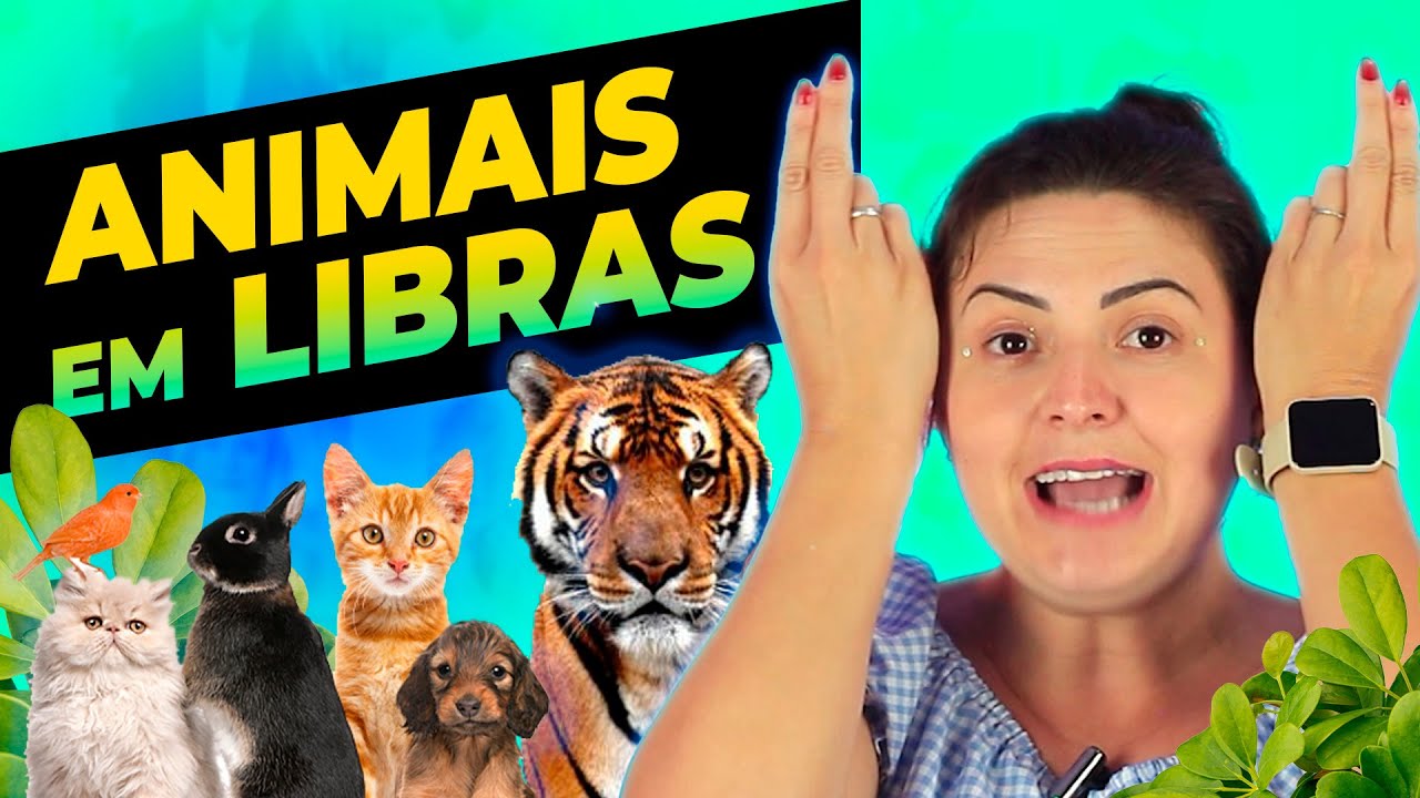 30 SINAIS DE ANIMAIS EM LIBRAS: Cachorro, Gato, Pássaro, Cobra ...