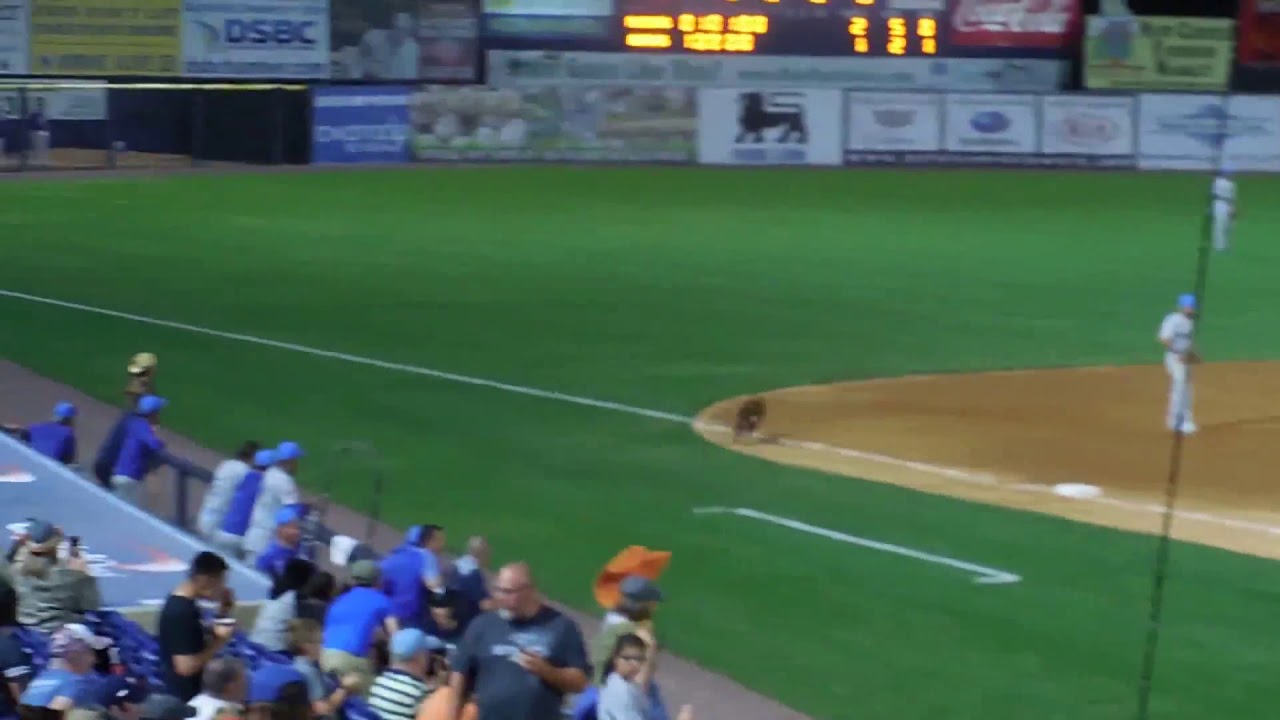 Google Auto Movie 129: Cowboy Monkey Rodeo at the Wilmington Blue Rocks ...