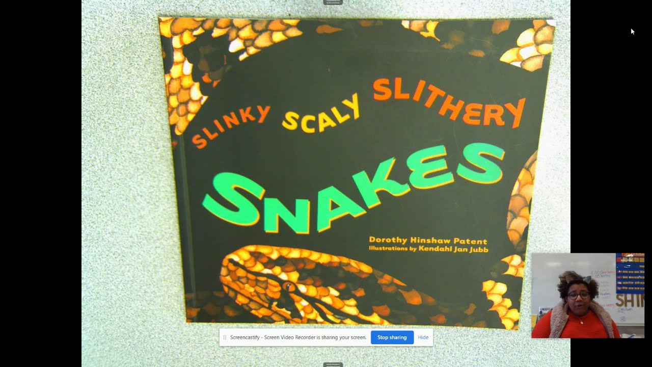 Slinky Scaly Slithery Snakes Part 1 - YouTube