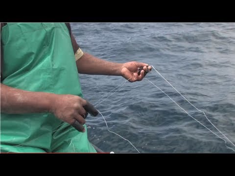 Fishing On The Line - YouTube