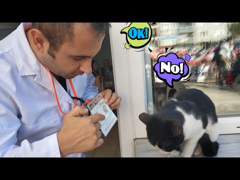 Yeni Vineler 2020 | En Komik Videolar | Komedi Mizah Eğlence