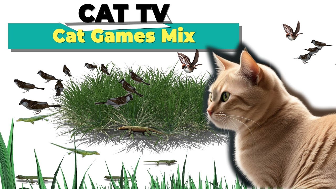 CAT TV - The Mix Your Cat Can’t Resist! 🐦🐍 Lizards, Tadpoles & More 😹 ...