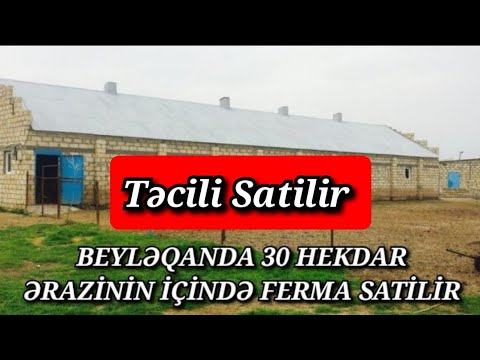 BEYLƏQANDA TƏCİLİ 30 HEKTAR ƏRAZİNİN İÇİNDƏ FERMA SATİLİR #ferma#satilir#təcili
