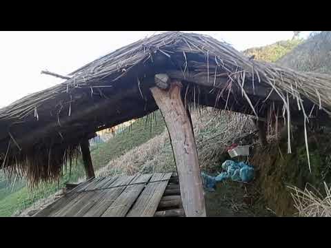 Hnub no poj niam WB mus saib cafe - YouTube