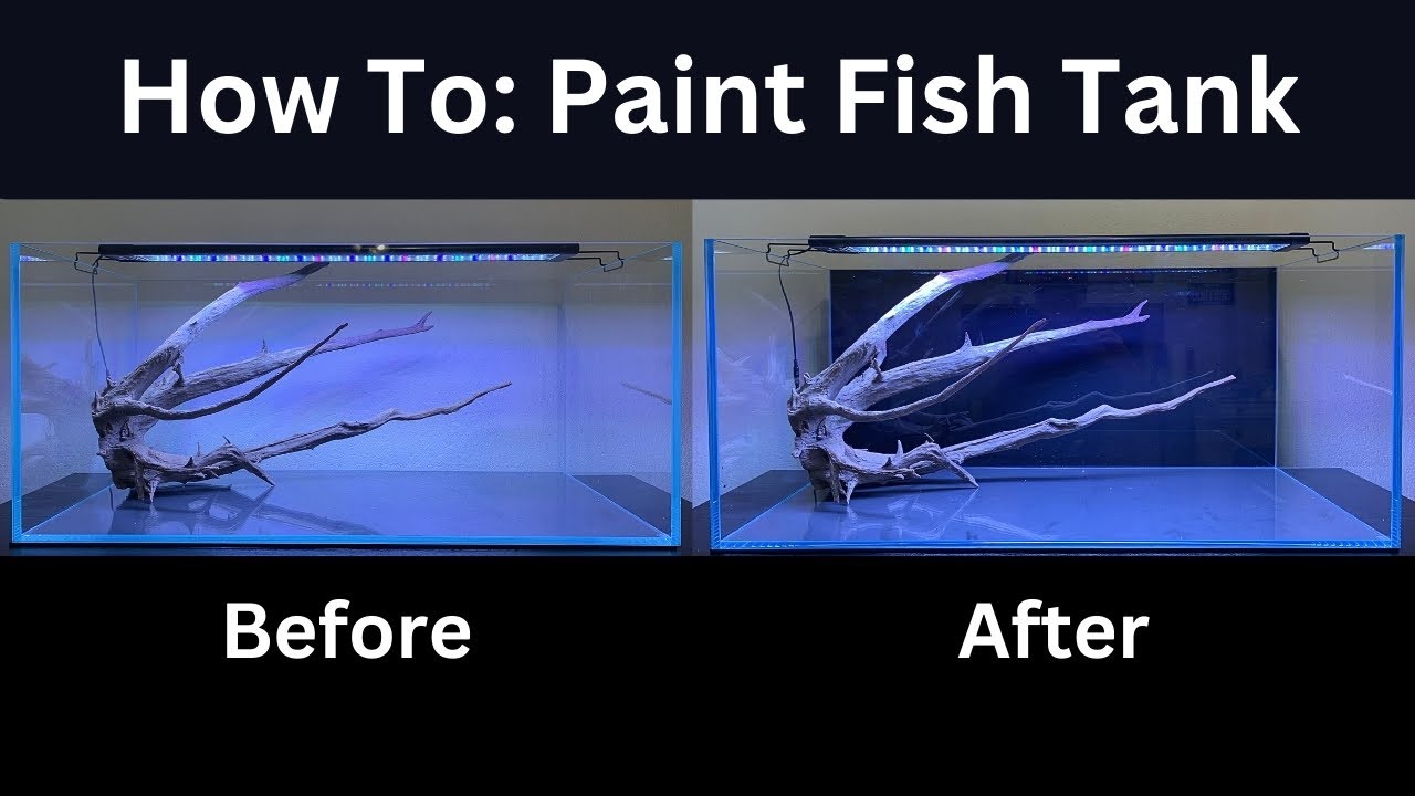 Easiest Way to Paint Aquarium Background - YouTube