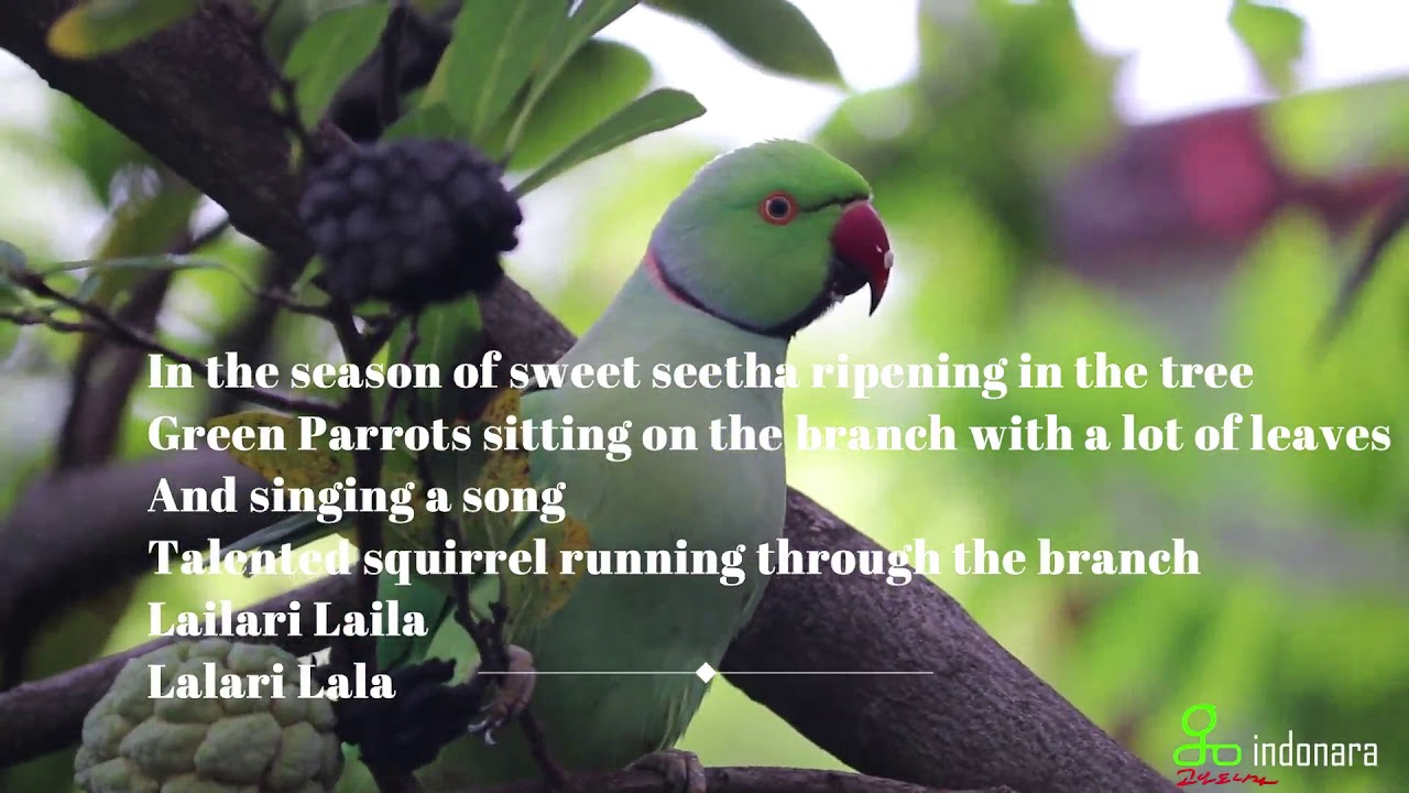 Under the seetha tree - YouTube
