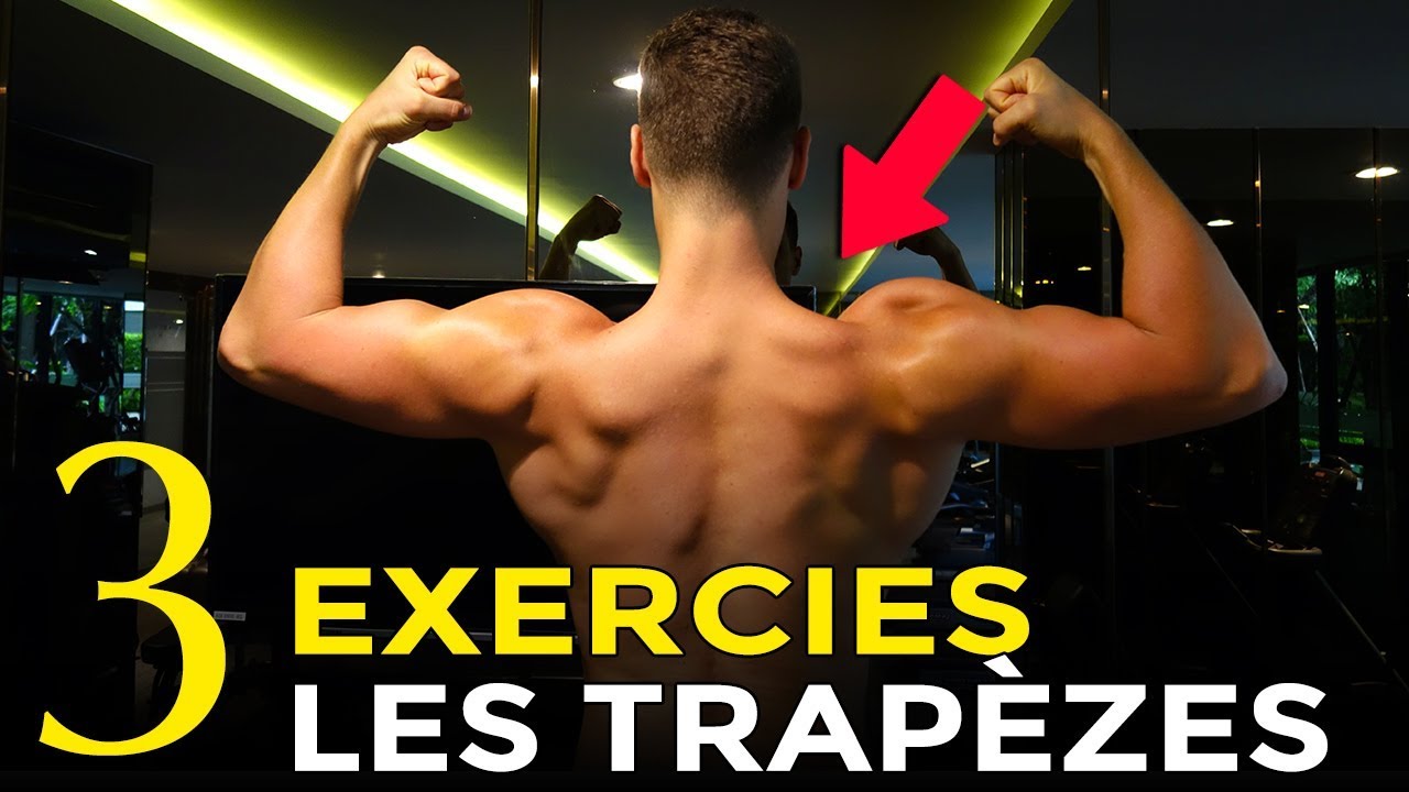 TOP 3 EXERCICES POUR SE MUSCLER LES TRAPÈZES EN MUSCULATION - YouTube