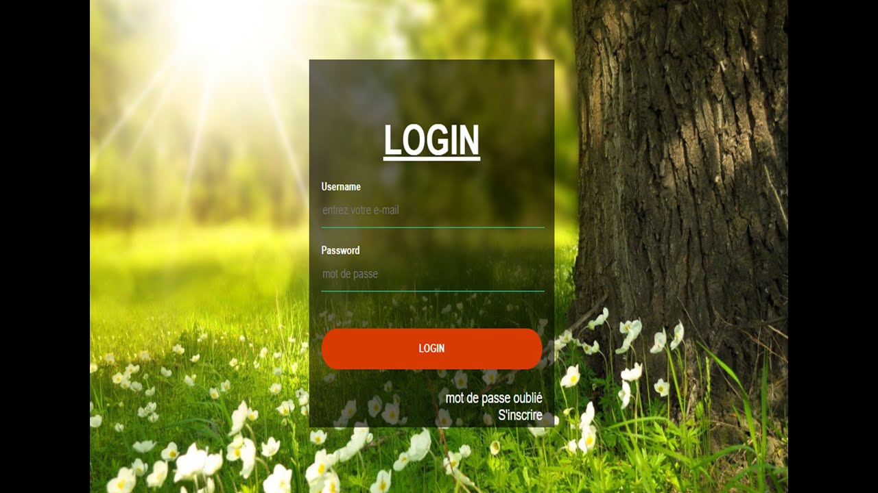 Transparent login form with HTML and CSS - YouTube