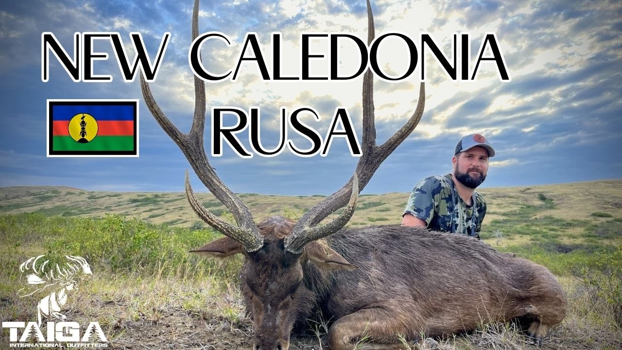 8 Rusa deer hunts in 6 minutes from New Caledonia!! - YouTube