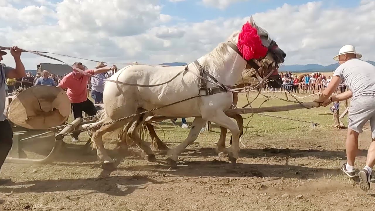 Cai probe de tracțiune din Romania 2021 - YouTube