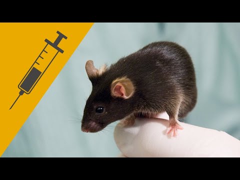 Basic lab calculations (milli and micro) - YouTube