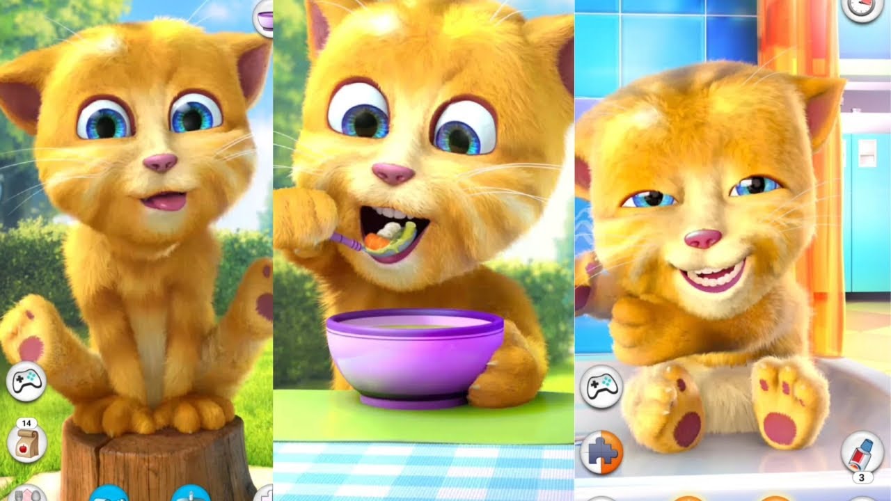 how to my talking ginger & talking ginger 2 funny videos | cute cat 🐈 ...