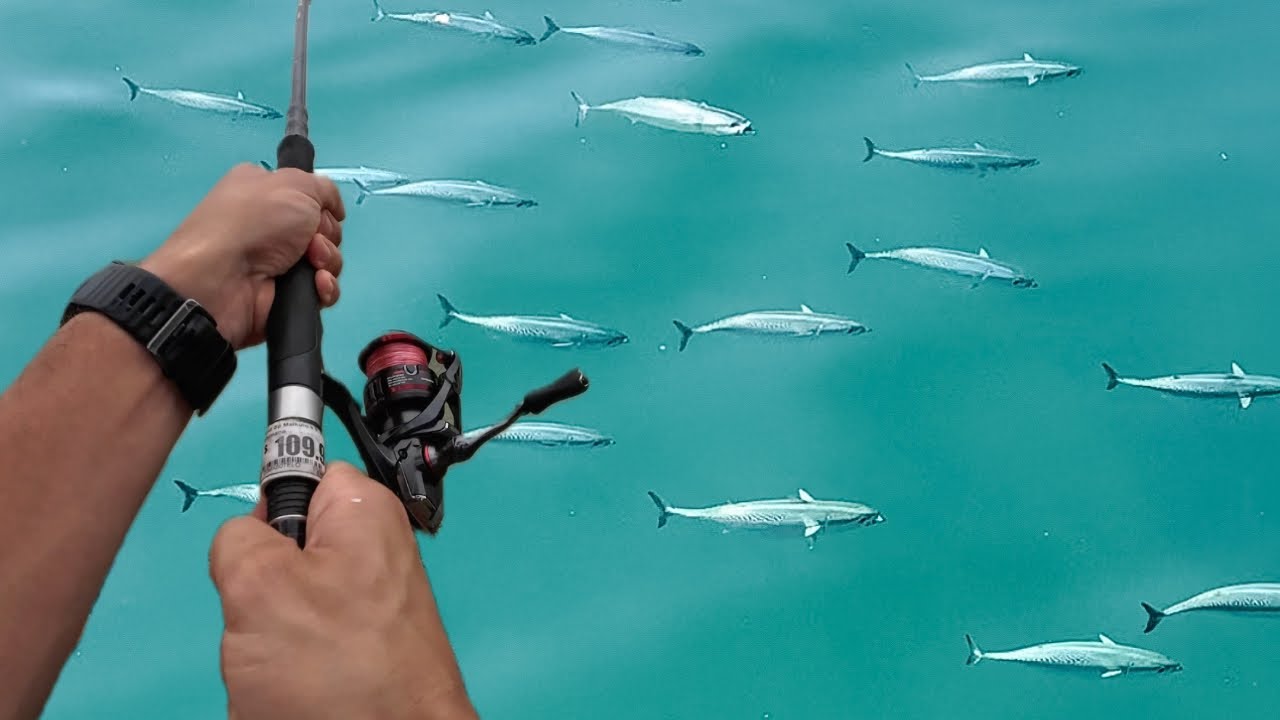 I hooked onto a MONSTER fish!! - YouTube