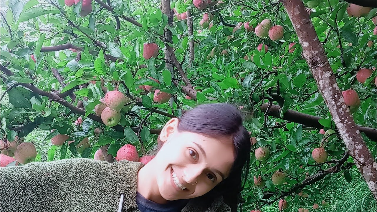 Bagiche ka tour 🍎😀 - YouTube