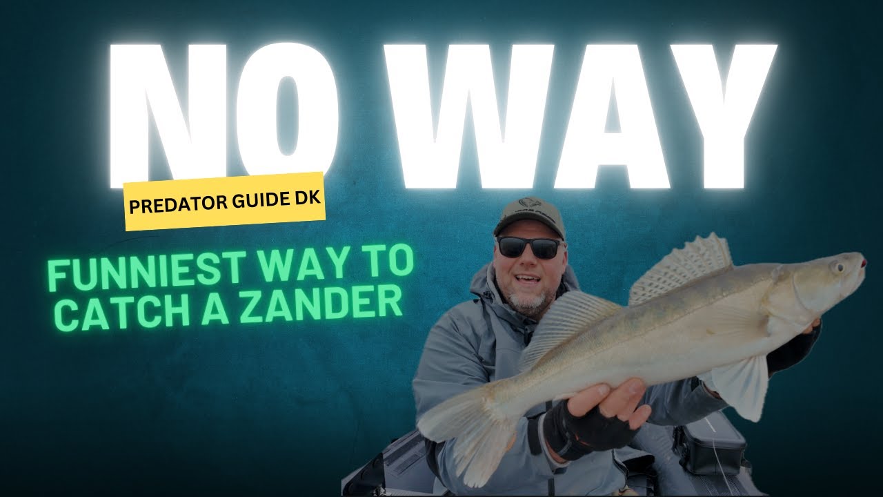 Zander Fishing Tips & Tricks 🎣 | Catching Sandart on Denmark's Largest ...