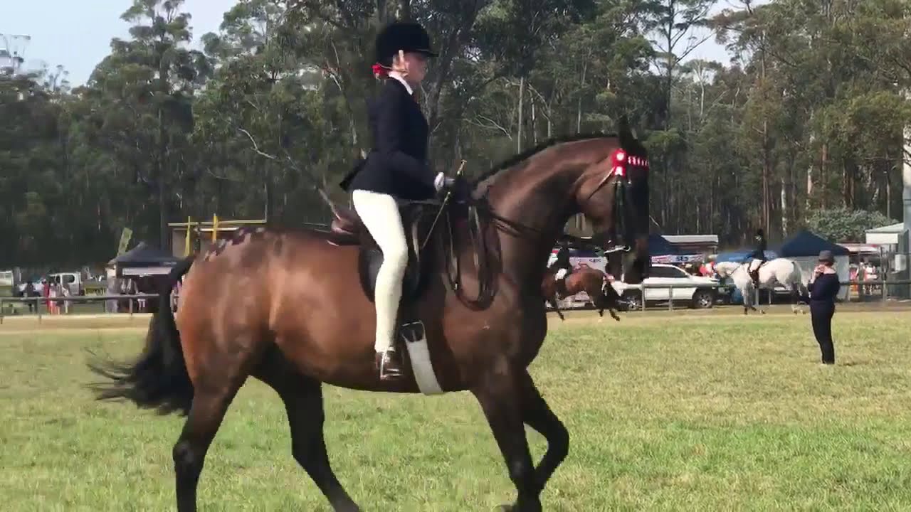 Orbost Ag Show 2019 - YouTube