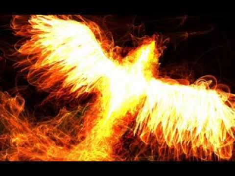 Soyn - White bird