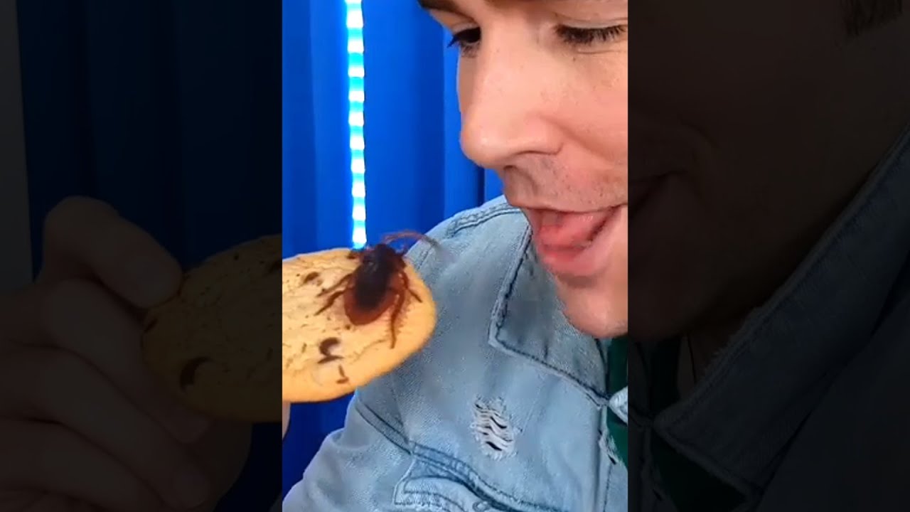 ROACH ON COOKIE! #shorts - YouTube