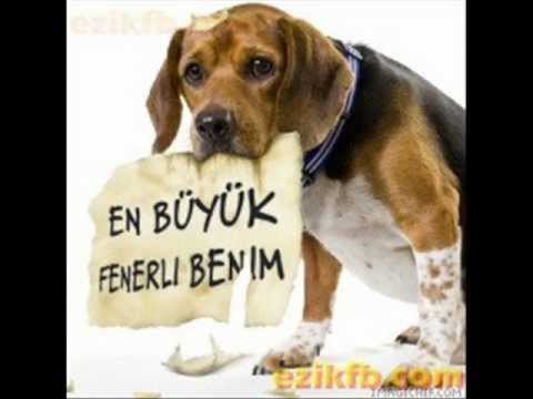 FENER EŞŞEK FENER.wmv