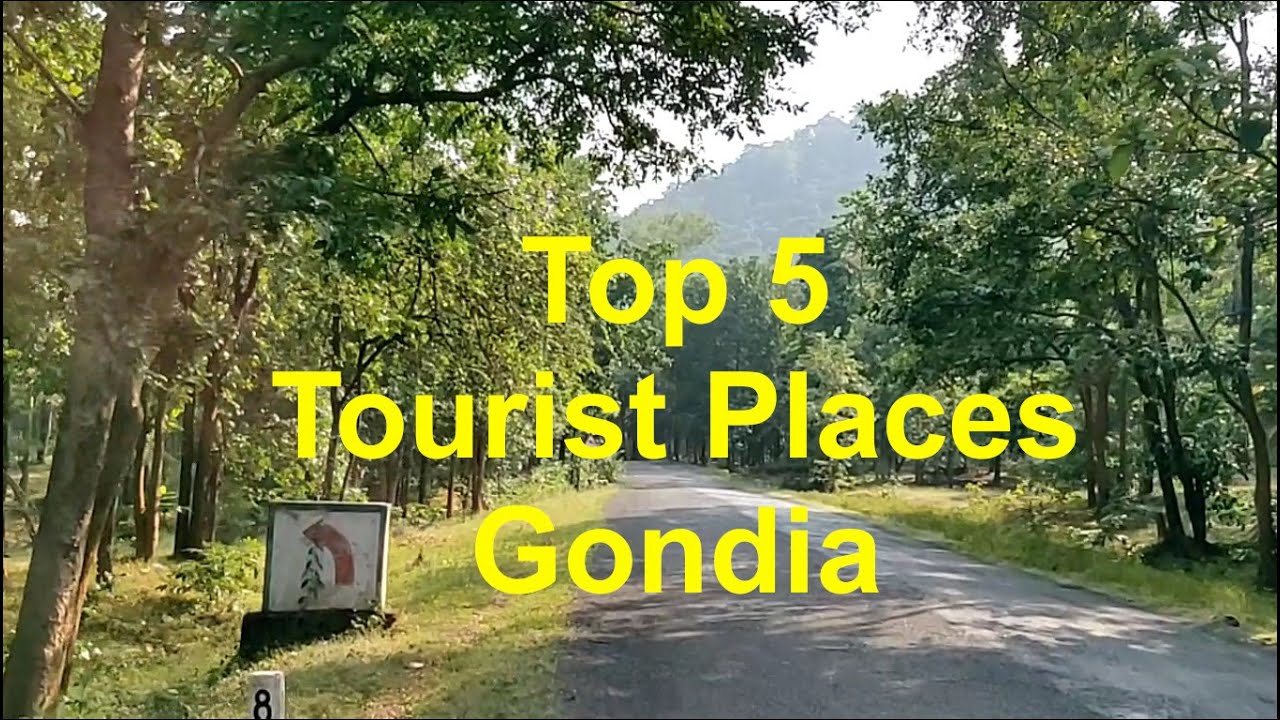 top 5 tourist places in Gondia Maharashtra - YouTube