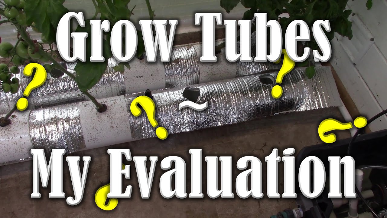 Grow Tube Evaluation ~ Was It Worth It? - YouTube