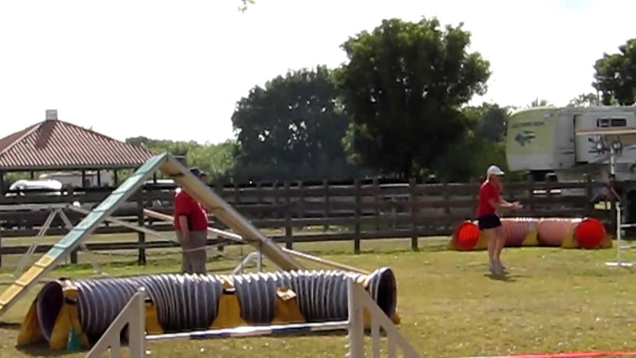 USDAA - Feb 27, 2011 - Starters Gamblers - Valerie Rutledge + Tide ...