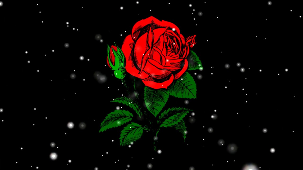 Emotional Dark Trap Beat "Rose" | Dope Melodic Piano Beat 2020 - YouTube