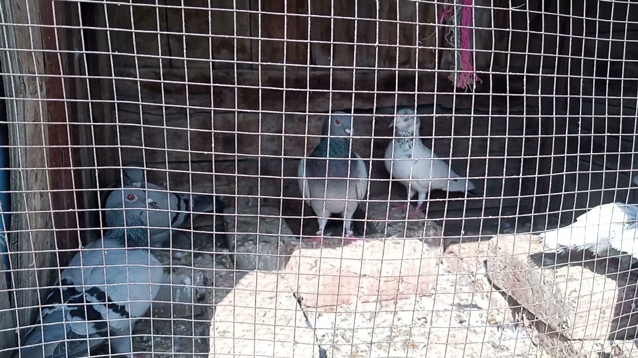 November 7, 2021 - YouTube