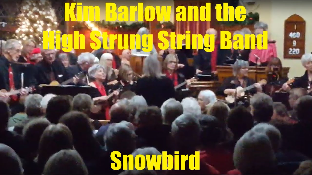 Snowbird | Kim Barlow and the High Strung String Band - YouTube