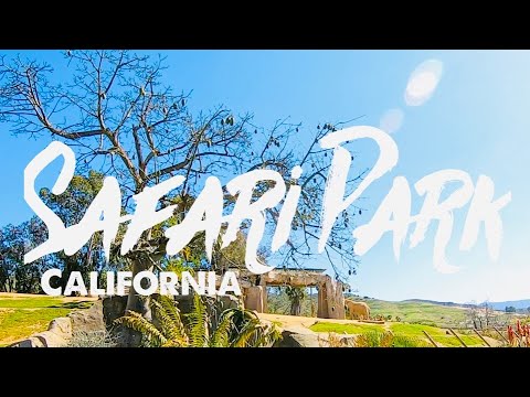 Family Exploring the San Diego Zoo Safari Park | San Diego County ...