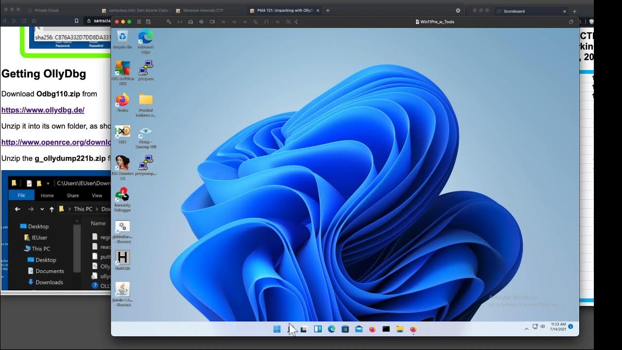 Unpacking with OllyDbg - YouTube