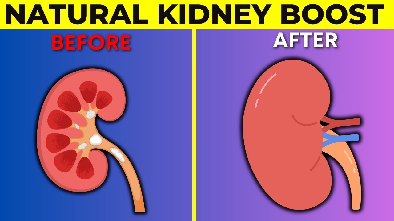 Boost Your Kidney Health Naturally! Easy-to-Find Superfoods for Your ...