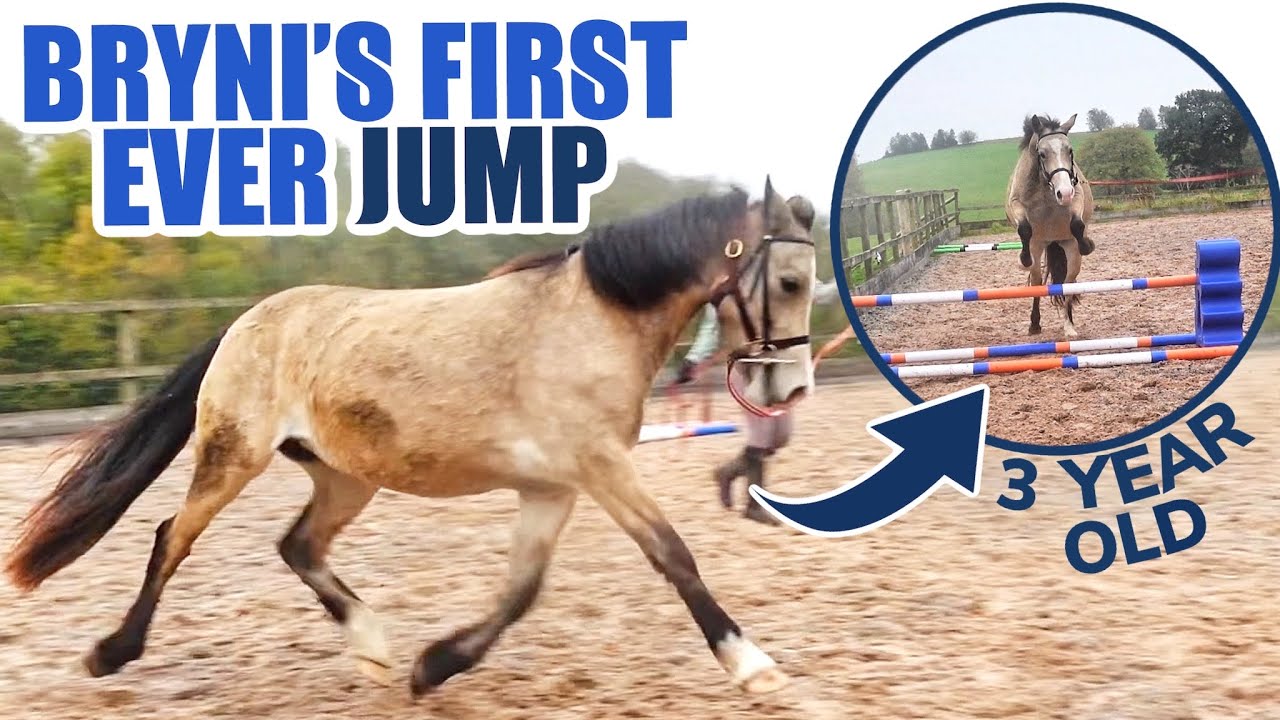 CAN 3 YEAR OLD BRYNI JUMP First Time Pony Has Ever Jumped YouTube can-3-year-old-bryni-jump-first-time-pony-has-ever-jumped-youtube