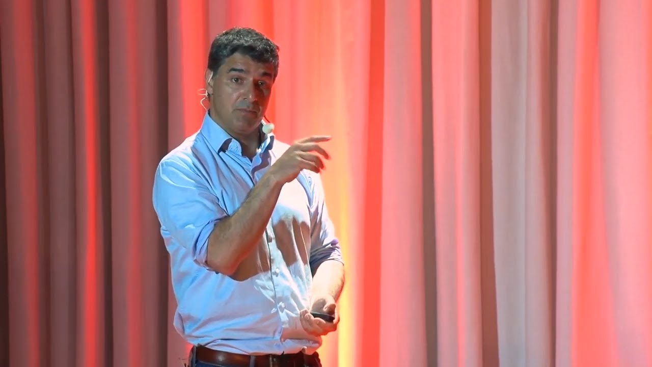 Pinguins na Praia | José Xavier | TEDxUniversidadedeCoimbra - YouTube
