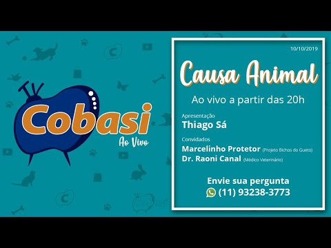 Ep. 11 - Causa Animal - YouTube
