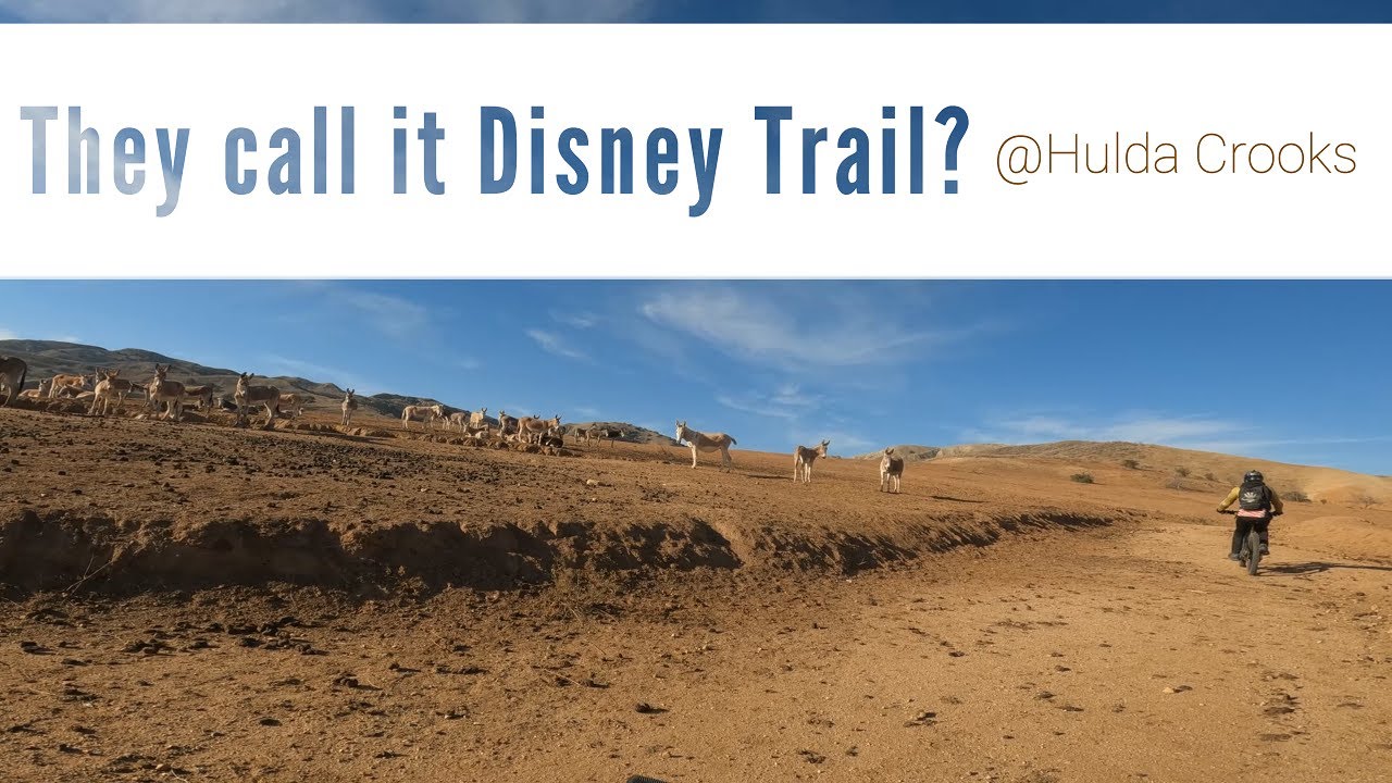 Disney Trail? @Hulda Crooks - YouTube