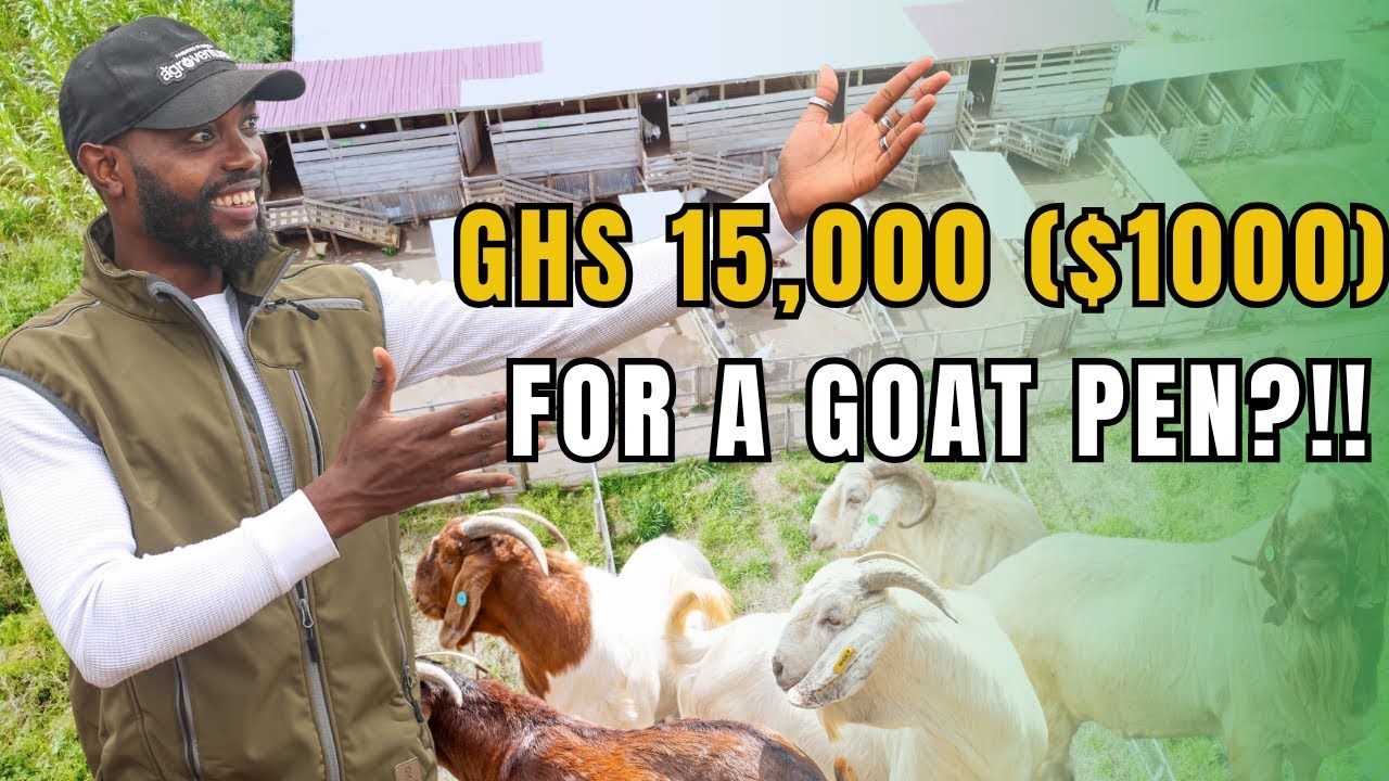 COST of BUILDING a MODERN Goat HOUSE in 2025 From Start to Finish ...