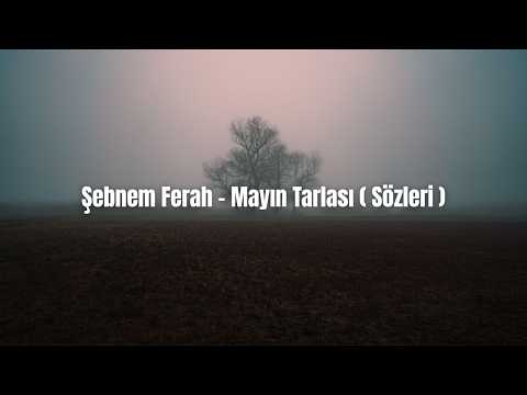 Şebnem Ferah - Mayın Tarlası ( Sözleri )