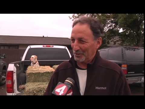 Bill Niman says Slaughterhouse Investigation an Example of Failure by ...